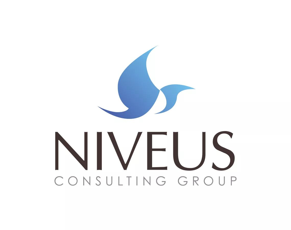 Niveus hírlevél – 2021. június - Hírek - Niveus tanácsadó cég ️ Adójog ...